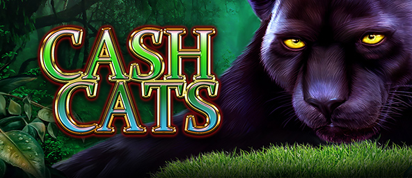 Cash Cats